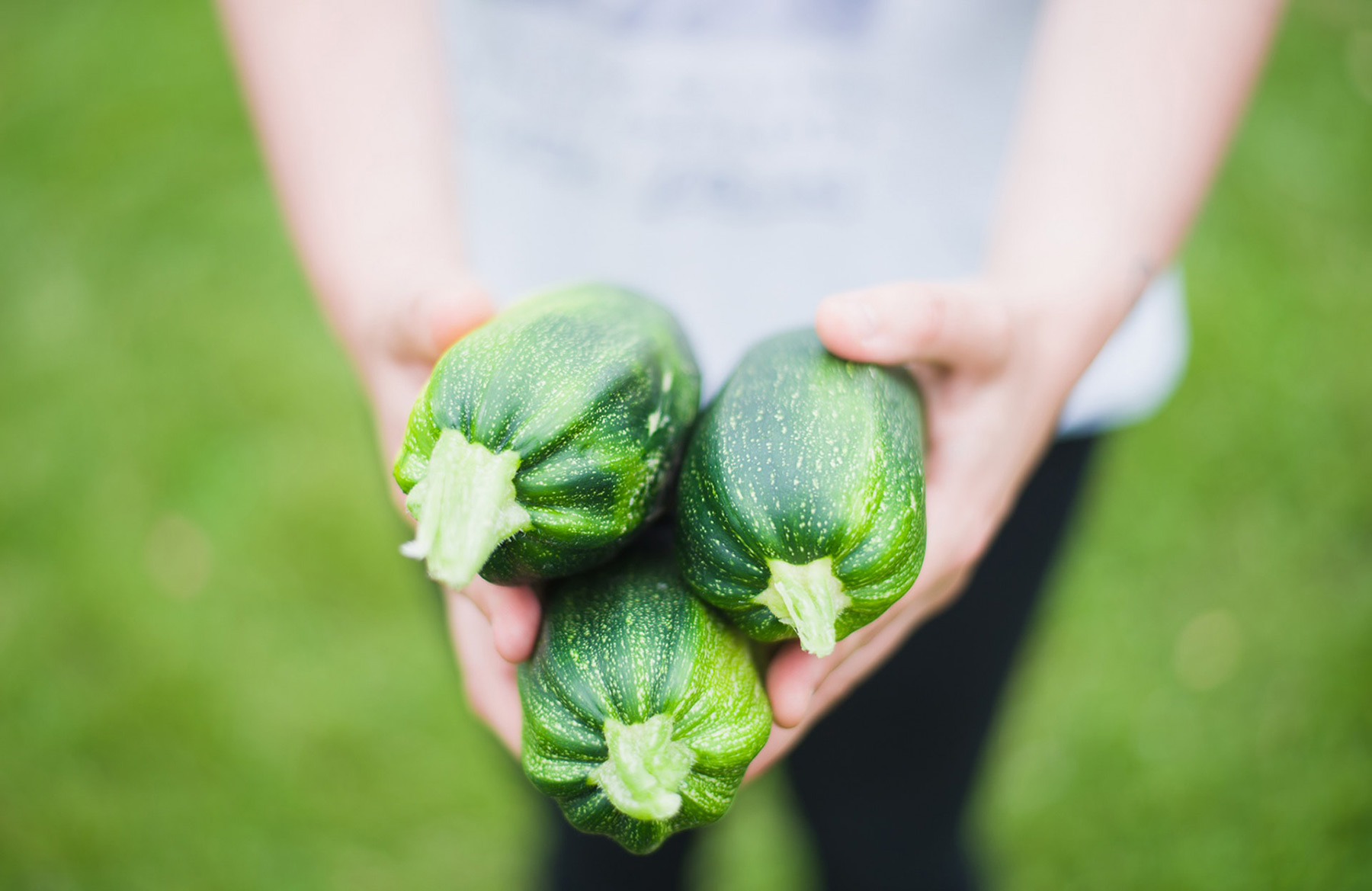 Plant It Forward - Durango Food Bank
